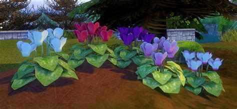 Cyclamen By Pocci At Garden Breeze Sims 4 Sims 4 Updates