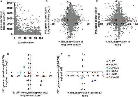 Correlation Of Dna Methylation And Gene Expression Dna Methylation