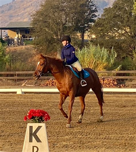 My Partners Grace Wiseman