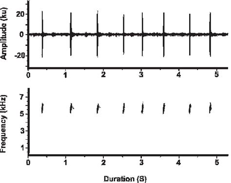 Spectrogram And Waveform Of Advertisement Call Of Colostethus