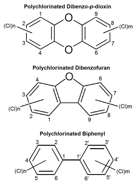 1 Generic Structure Of Polychlorinated Dibenzo P Dioxin Pcdd Download Scientific Diagram