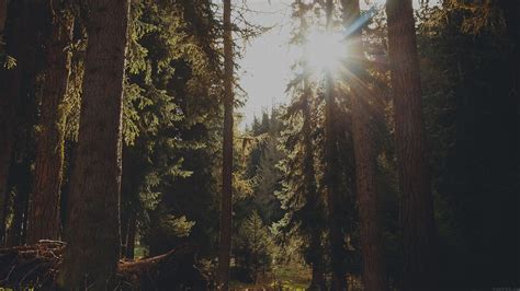 Aesthetic Laptop Nature Wallpapers Wallpaper Cave