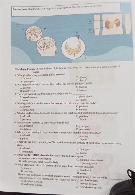 IInstructions Identify What Is Being Asked StudyX