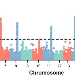 Manhattan Plot For The Statistical Combination Of Genome Wide Results Download Scientific