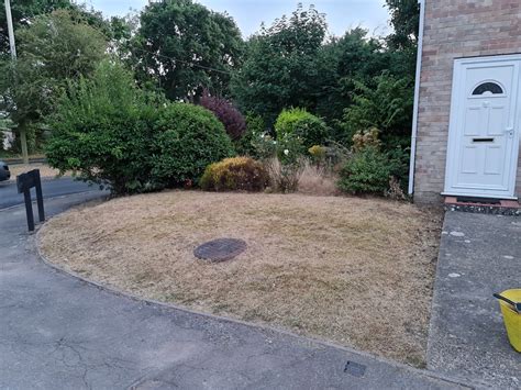 Gallery Db Maintenance