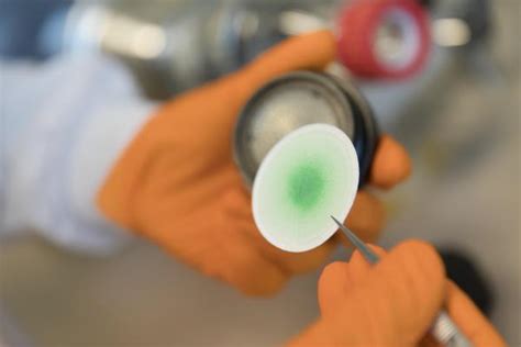 Hplc Loading Test Incotec