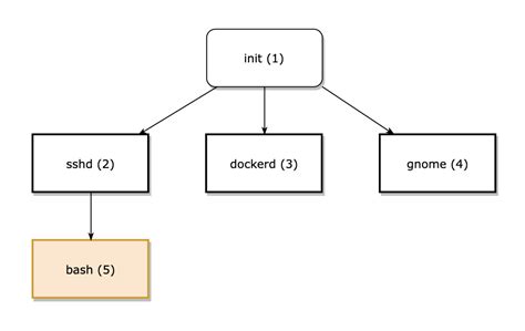 Tini Dumb Init Swalloow Blog