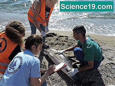 Κοινή Εργαστηριακή Συσκευή με τις χρήσεις τους Επιστημονική Και Δημοφιλή Ιστοσελίδα Πολυμέσων