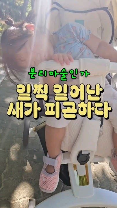 종달기상한 그녀와 초보아빠의 하루 육아일기 아기 육아휴직 Youtube