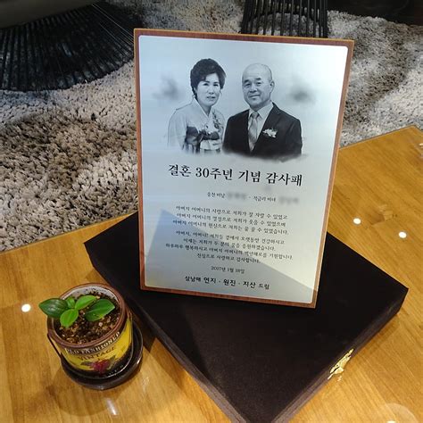 결혼 30주년 기념패 부모님감사패 최원지인물화상패