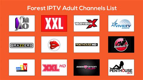 9 Best Adult Iptv Providers Of 2025 18 Videos