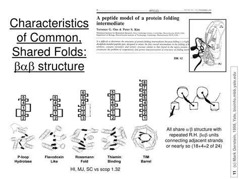 Ppt Analyzing Genomes And Transcriptomes With Structural And Functional Categories Powerpoint