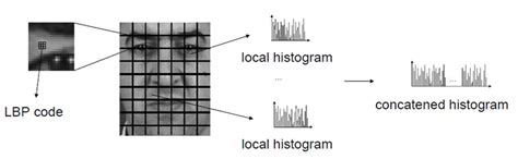 Example Of Facial Local Binary Pattern Lbp Calculation Download