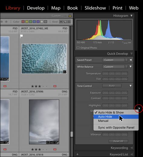 Julieanne Kosts Blog Tips For Working In The Develop Module In