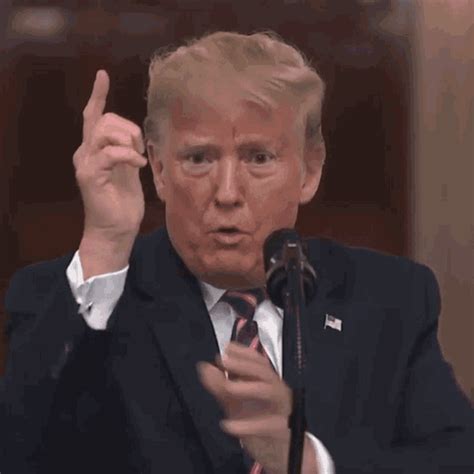 Donald Trump Boom  Donald Trump Boom Owned Discover And Share S