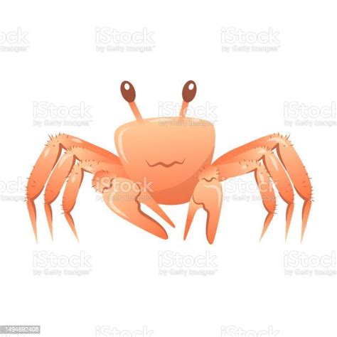 흰색 배경에 고립된 발톱을 올리는 귀여운 게의 벡터 만화 삽화 미 해병대에 대한 스톡 벡터 아트 및 기타 이미지 미 해병대 컴퓨터 그래픽 가공의 인물 Istock