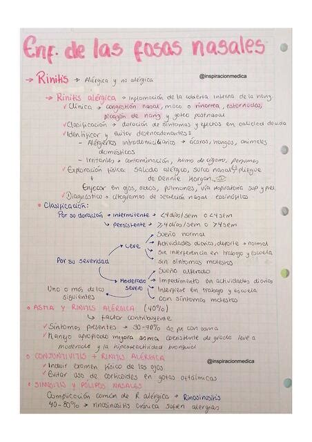 Patología De Las Fosas Nasales Melany Bardales Udocz