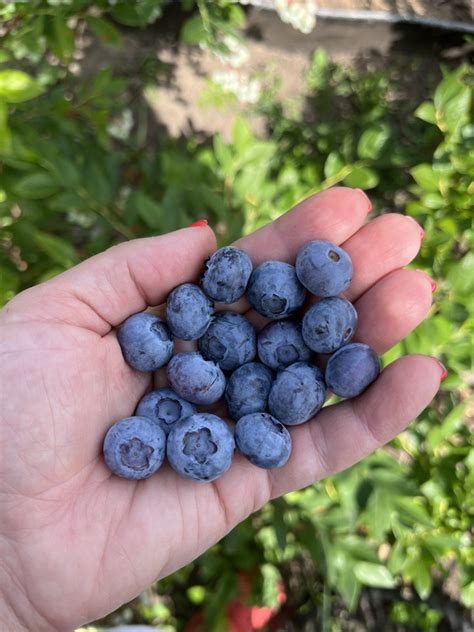 F6500181 7 D91 4 Cdb B8 F2 E8 A842 B0731 B — Postimages