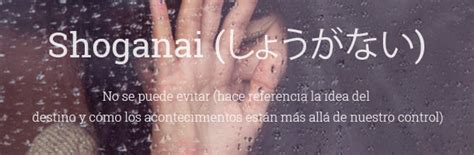 Las Palabras Más Bonitas Del Japonés