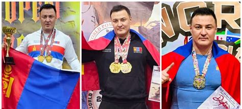 Ширчинсүрэнгийн Алтаннарын Чингүүн