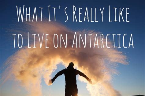 Sex Booze And Penguins Life On Antarctica A Broad Abroad