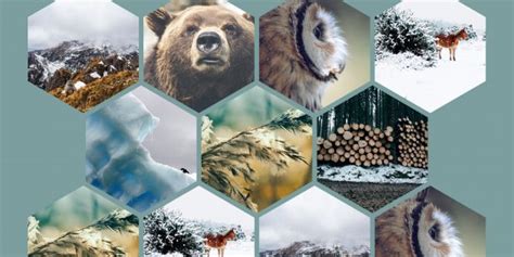 Hexagon Grids Webartdeveloper