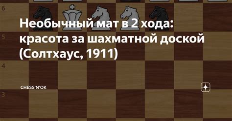 Необычный мат в 2 хода красота за шахматной доской Солтхаус 1911 Chessnok Дзен