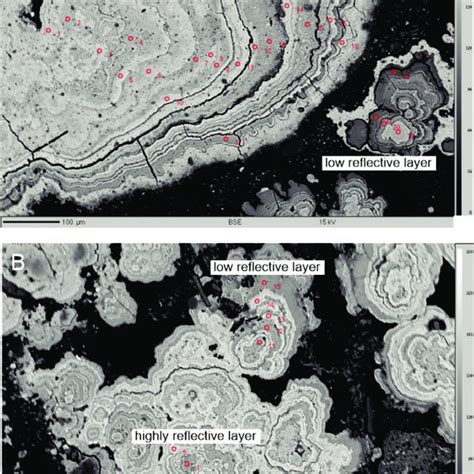 Bse Image Of The Polymetallic Nodule With The Layers Formed As A
