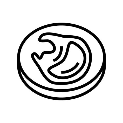 130 Immune Complement Stock Illustrations Royalty Free Vector Graphics And Clip Art Istock