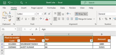 How To Filter Data In Excel Free And Beat Hindi Platform 01
