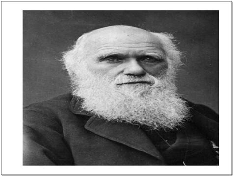 다윈의 진화론 종의 기원 핀치새가 일깨워준 네이버 블로그