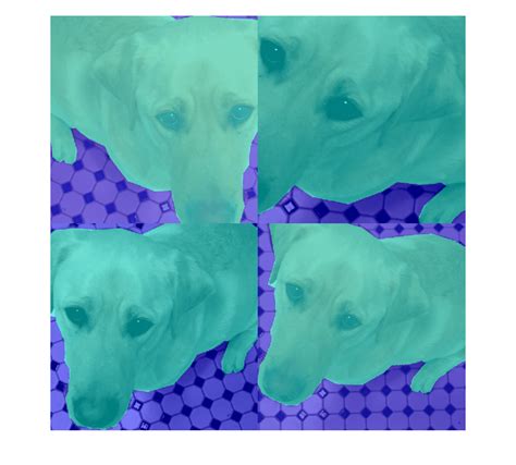 Augment Pixel Labels For Semantic Segmentation
