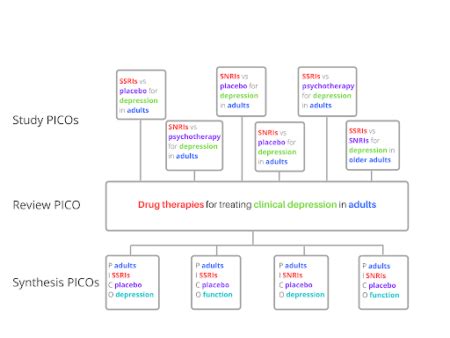 PICO All You Need To Know Covidence