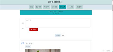 基于springbootvue前后分离的家政服务管理平台，家政管理系统（java毕业设计）基于springbootvue的家政服务管理系统、 Csdn博客
