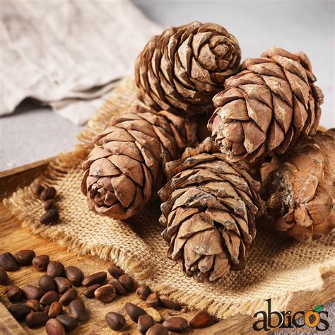 Кедровые шишки купить в Санкт Петербурге СПб Дешево