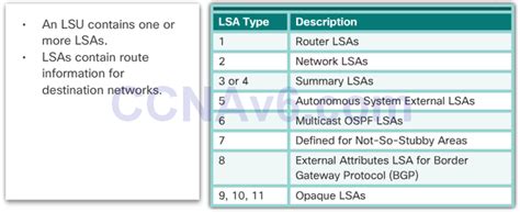 CCNA 3 V6 0 Study Material Chapter 8 Single Area OSPF