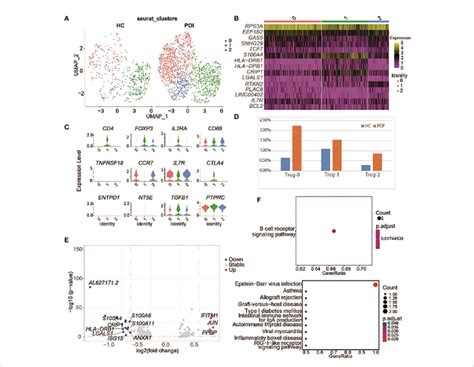 Single Cell Expression Analysis Of Treg Cells In Poi And Hc A Uamp