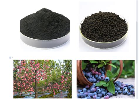 Advantages Of Humic Acid