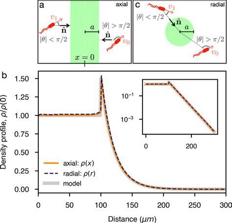 Run And Tumble Particles In 2d With Axial And Radial Feedback A Download Scientific Diagram
