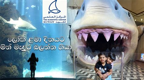 ලෝක ලමා දිනය දවසේ මගේ පැටව් 🥰aquarium Kuwait Scientific Center Youtube