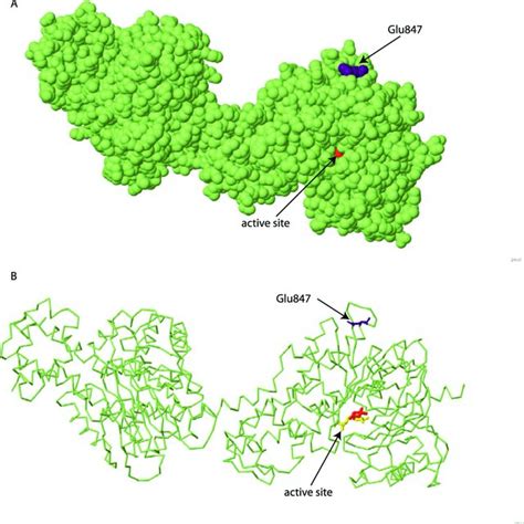 Pdf A Dominant Mutation In Hexokinase 1 Hk1 Causes Retinitis Pigmentosa