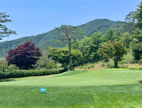 6월 가평베네스트cc 후기 삼성이 운영하는 가평 명문 골프장 네이버 블로그