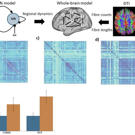 Computational Model A Modelling Approach Combining A Model For The