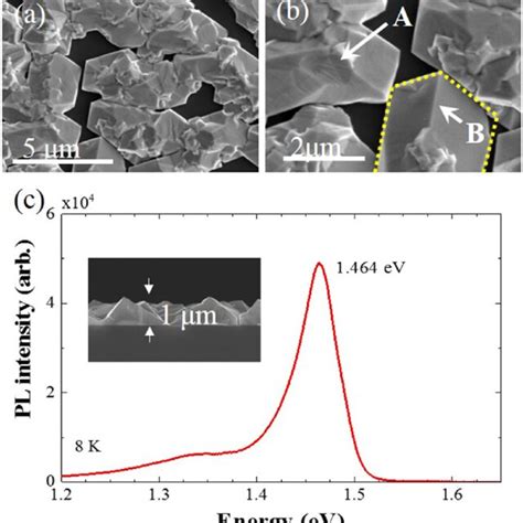 A Top View Sem Image Of A Gaas Microstructure Sample B Close Up Download Scientific