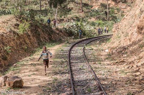 Eritrean Train