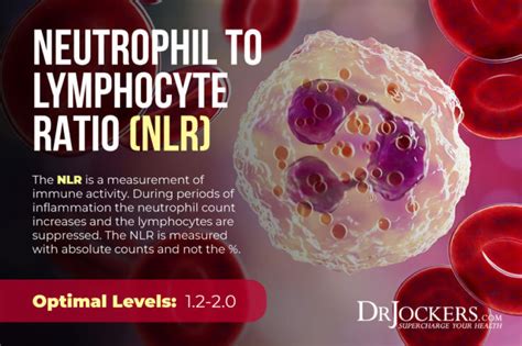 Top Inflammatory Lab Markers And Optimal Ranges