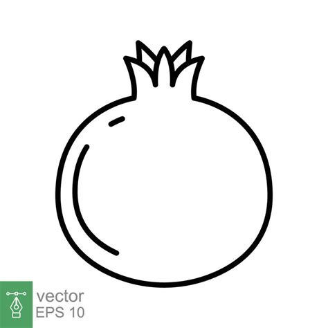 Pomegranate Drawing