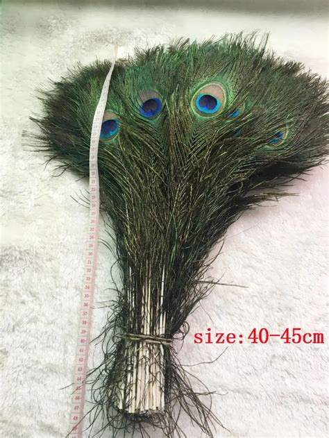 Pluma Del Pavo Real La Guía Definitiva Para Usarlas En Decoración Bodas Y Manualidades Con