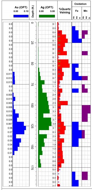 Logplotfeaturesbodybars Rockware
