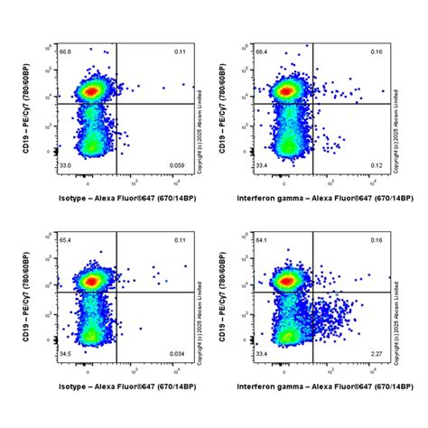 Anti Interferon Gamma Antibody Epr28352 7 Ab324874 Abcam